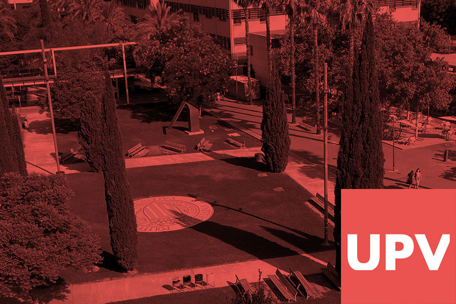 UPV - Response DANA UPV